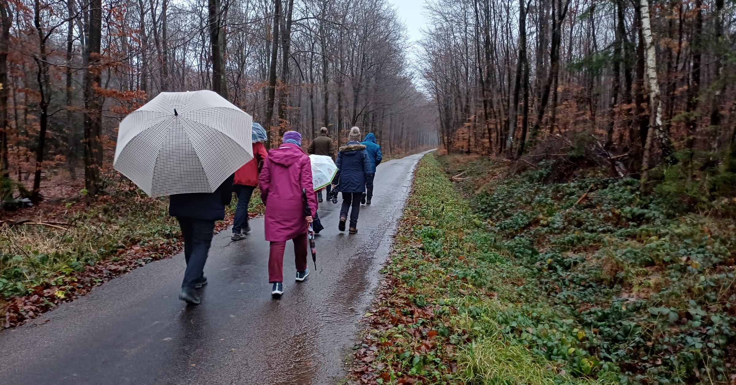 Nikolausaktion im Pastoralen Raum Merzig 2025 | Pastoraler Raum Merzig
