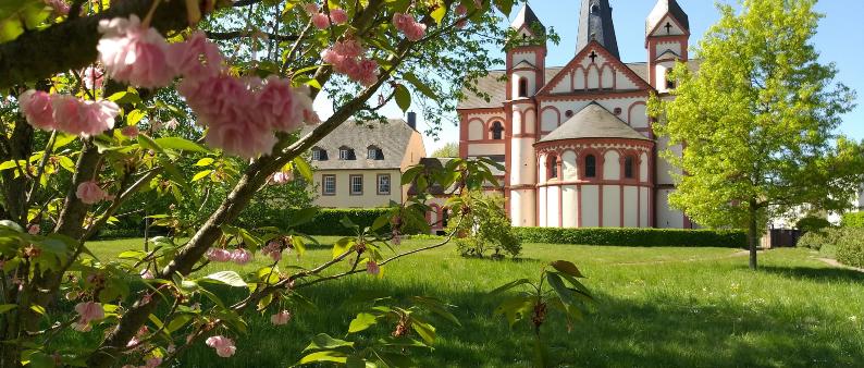 Pfarrei St. Peter Merzig | Pastoraler Raum Merzig